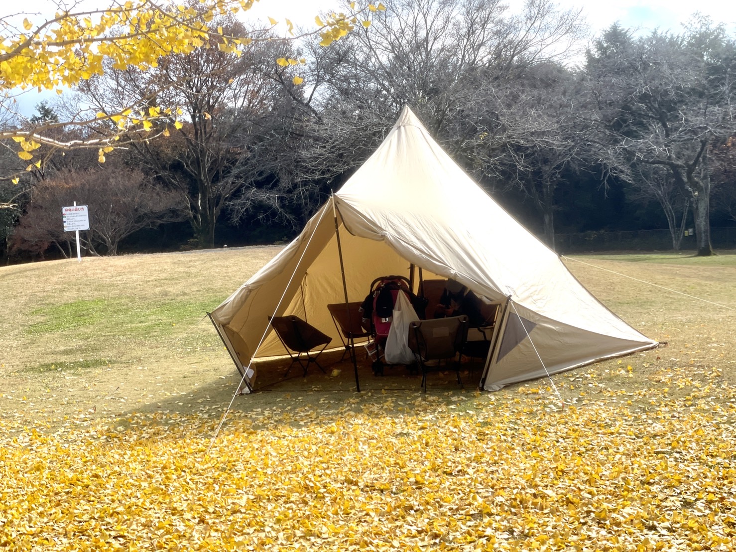 子連れにオススメ公園内キャンプ場＠朝霧高原もちやキャンプ場 | クリーニング403（ヨンマルサン）